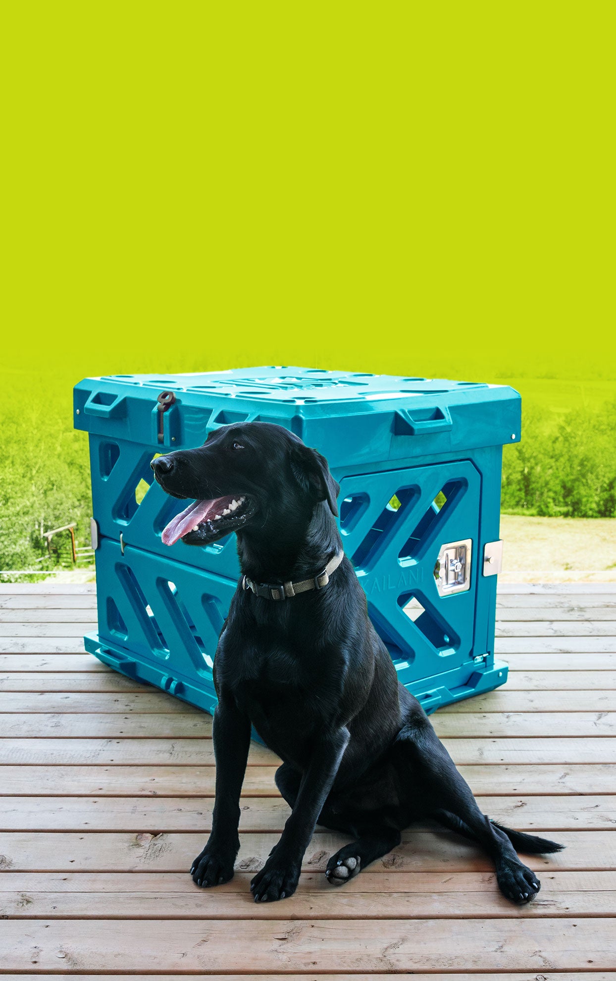 Kennels