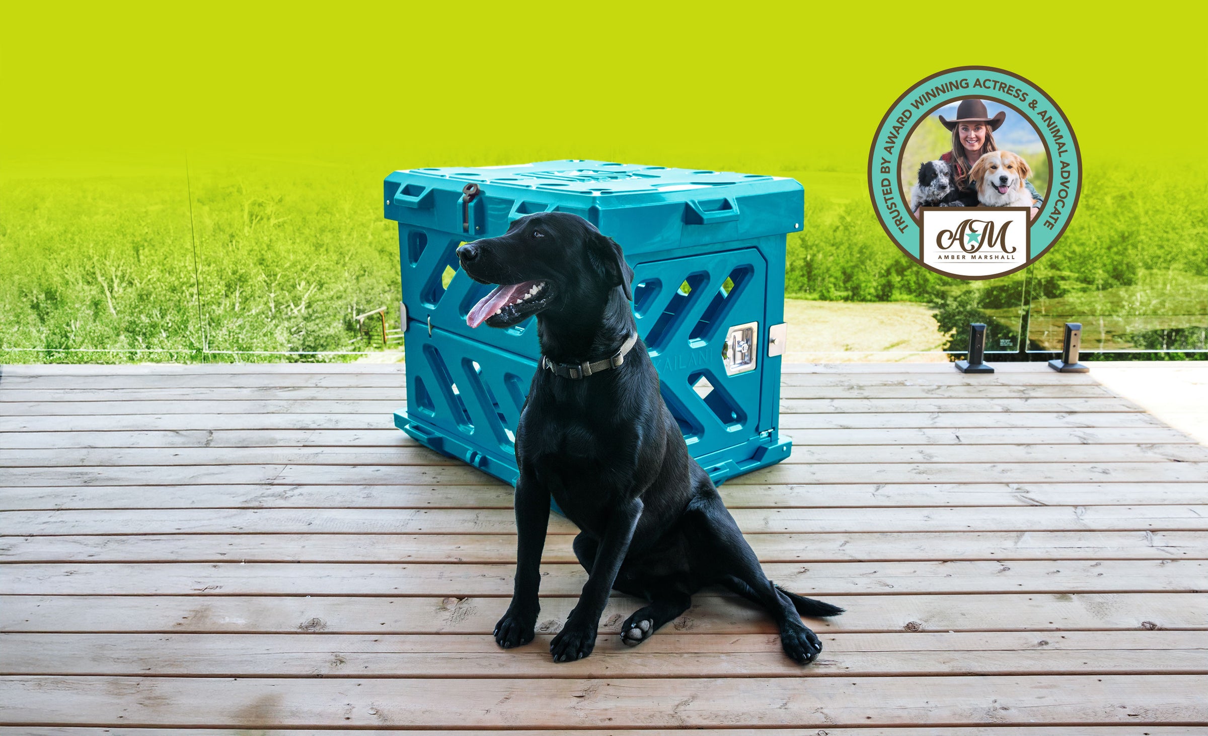 Kennels